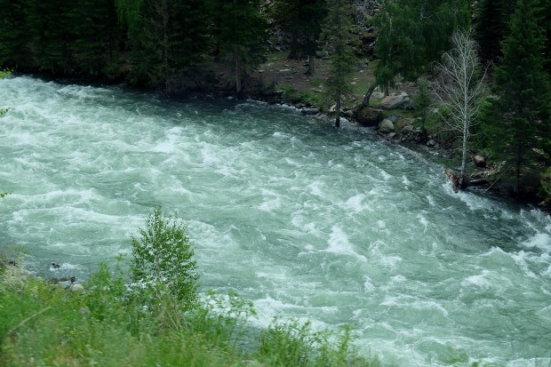 Gushing River - Sarmisal